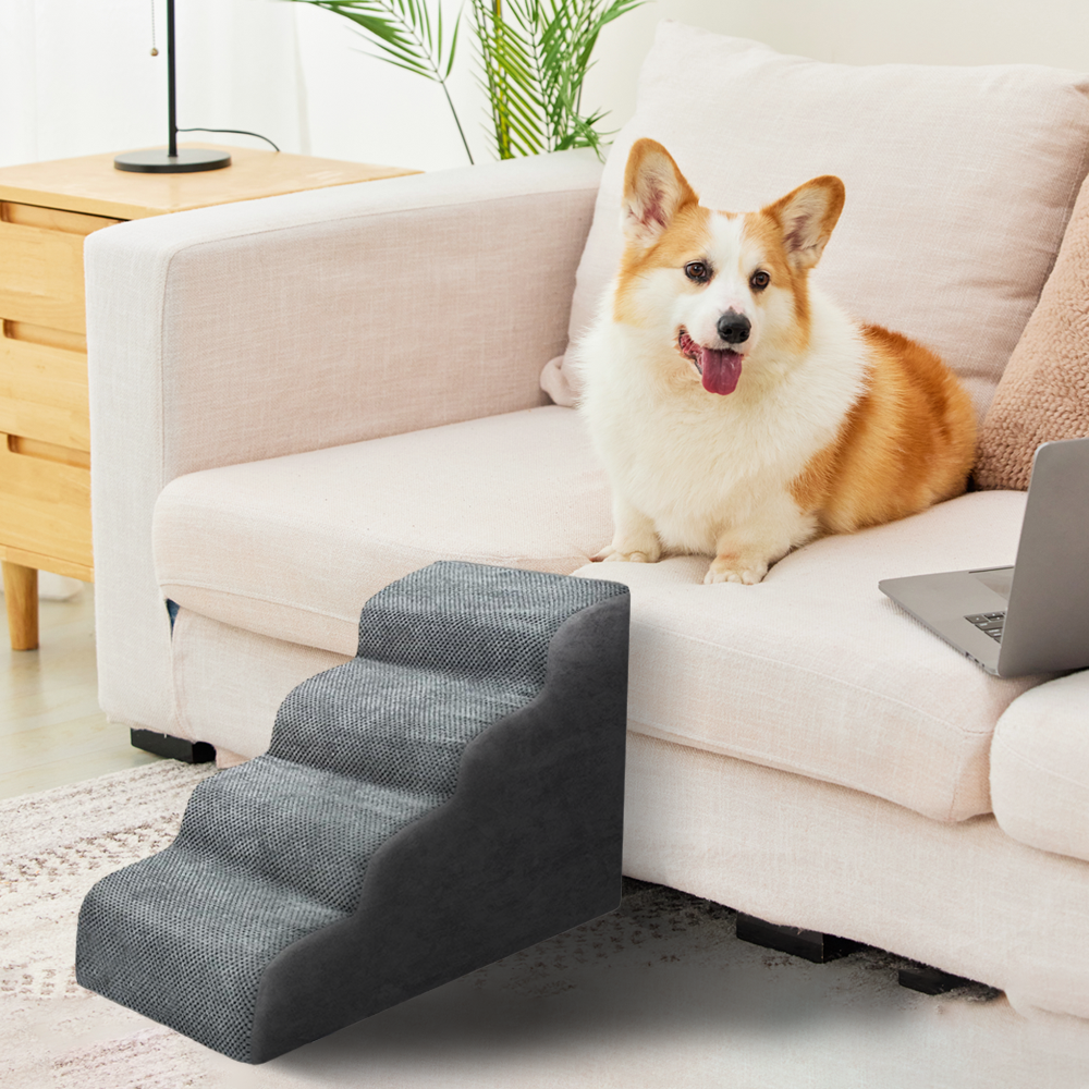 Helping Paws Move Again: Mobility Tips & Tools for Dogs with Leg Pain ...