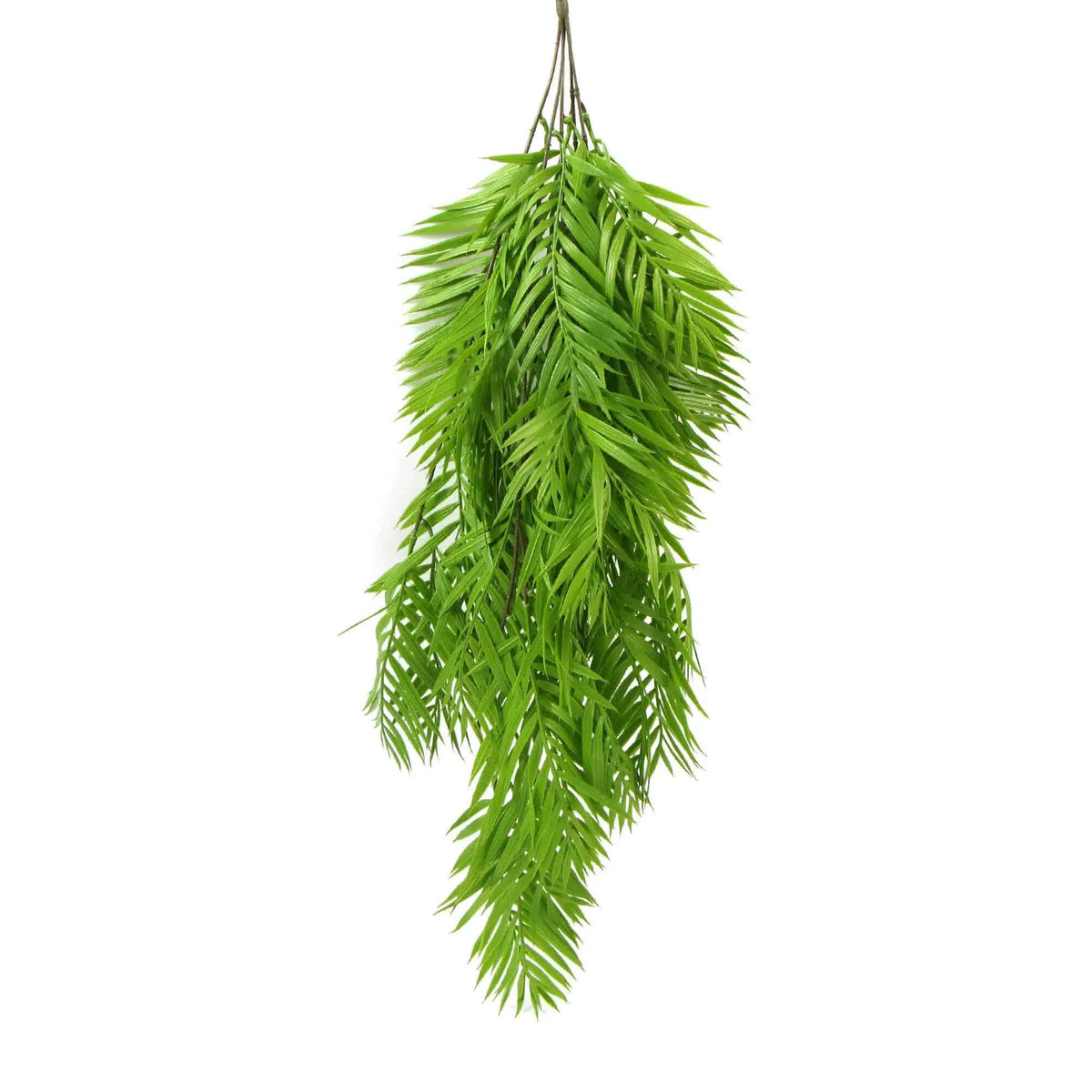 Hanging Fresh Green Bamboo Leaf Fern UV Resistant 80cm – Yarra Supply